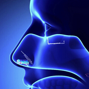 How We Smell | NIDCD