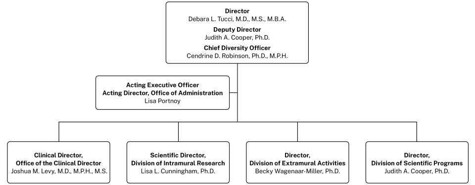 Organizational Structure and Staff | NIDCD